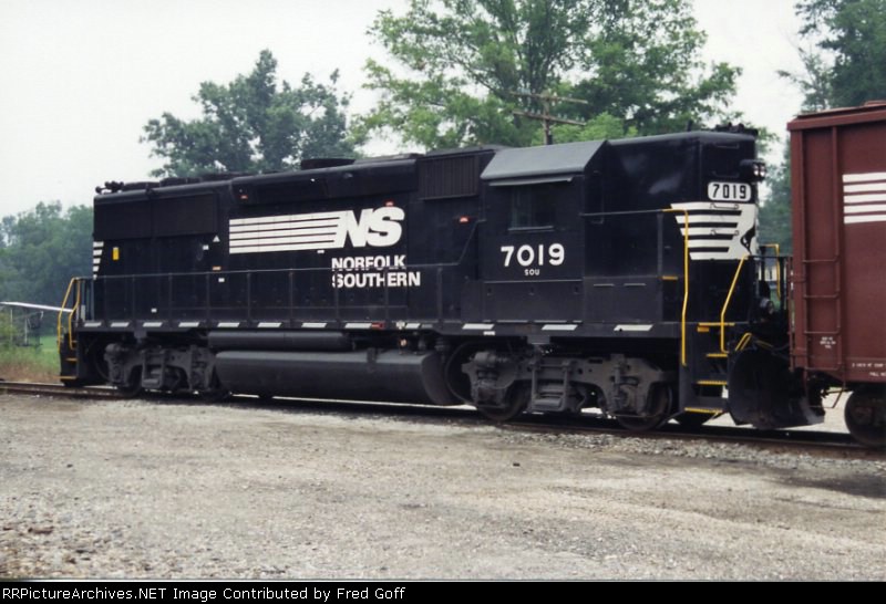 NS 7019